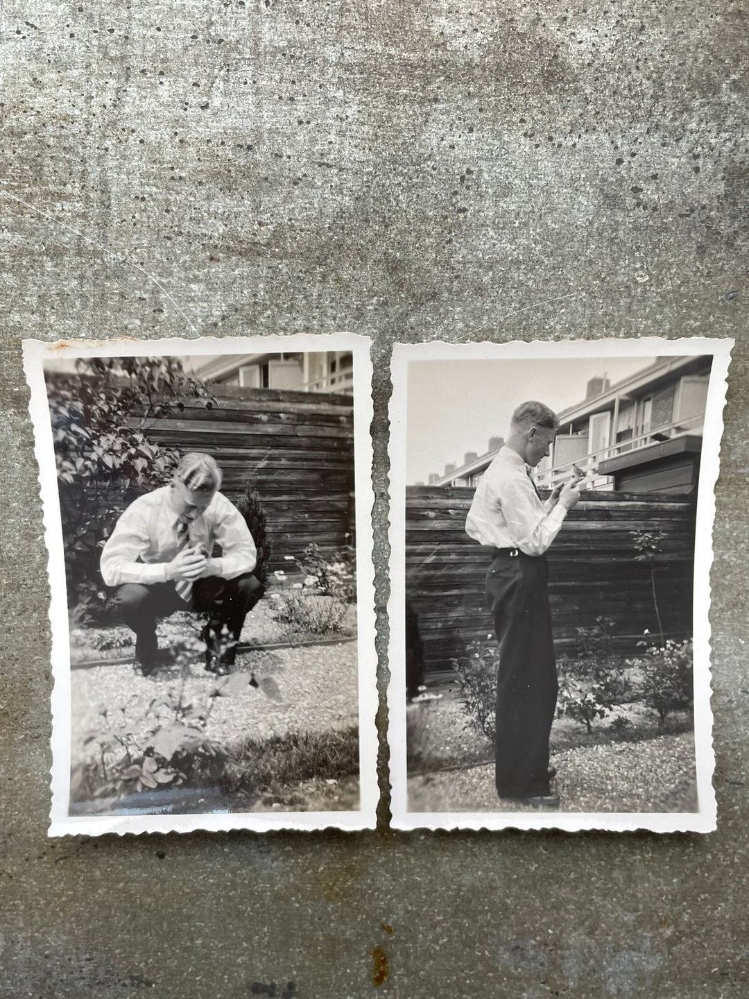 Vintage Bird Photos - Dapper Man Feeding the Birds - Black and White - Etsy