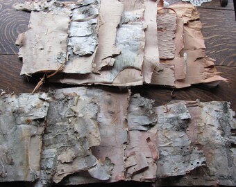 Birch bark sheets | Etsy