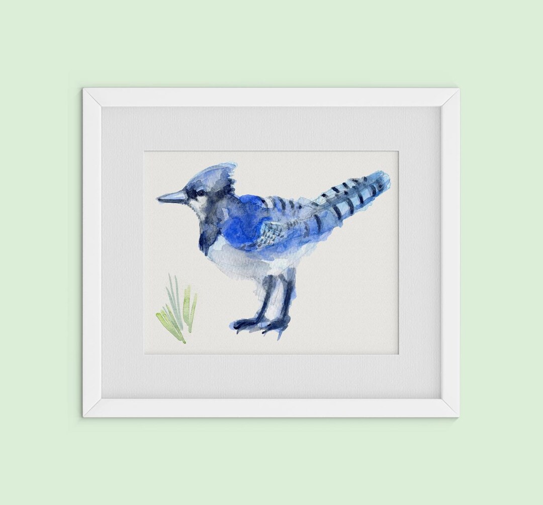 Art Print- Bird, Bluejay, Hand-drawn Watercolor and Pencil Printed on ...