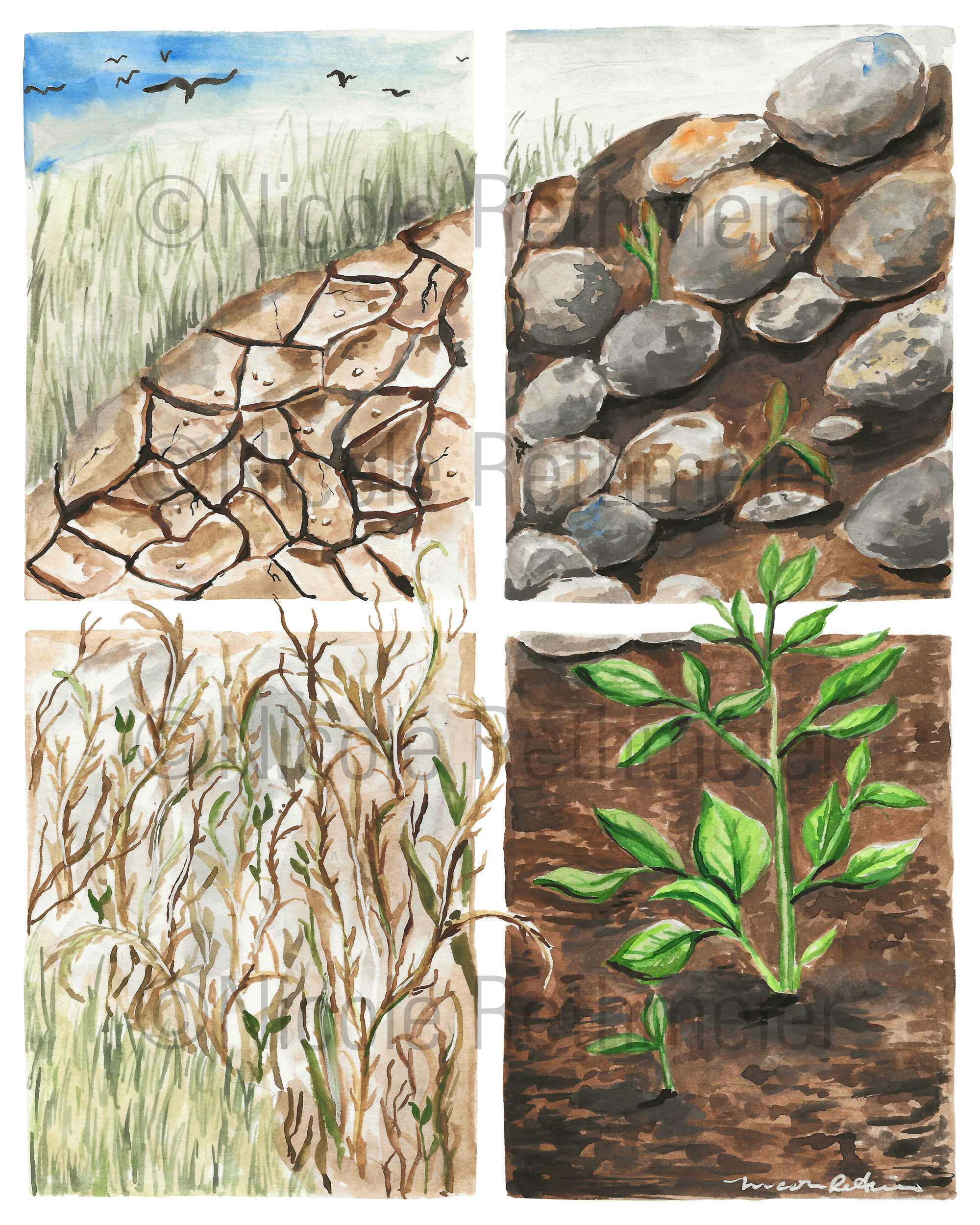 Parable of the Sower Watercolor Print: Bible Illustration, Matthew 13 ...