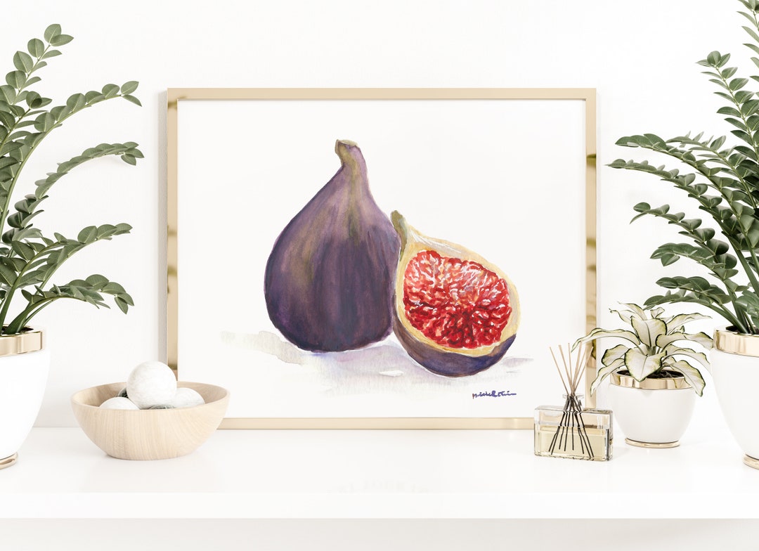 Fig Watercolor Print - Fruit Still Life, Colorful Fig Painting - Etsy