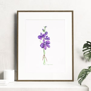 Watercolor Larkspur Flowers - Botanical Art Watercolor, Birth Month ...