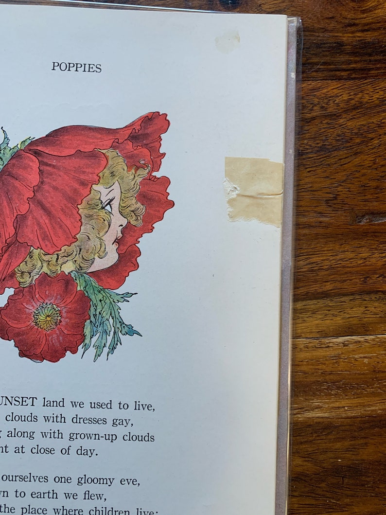 Flower Babies Book Children Poetry Gardening Nursery | Etsy