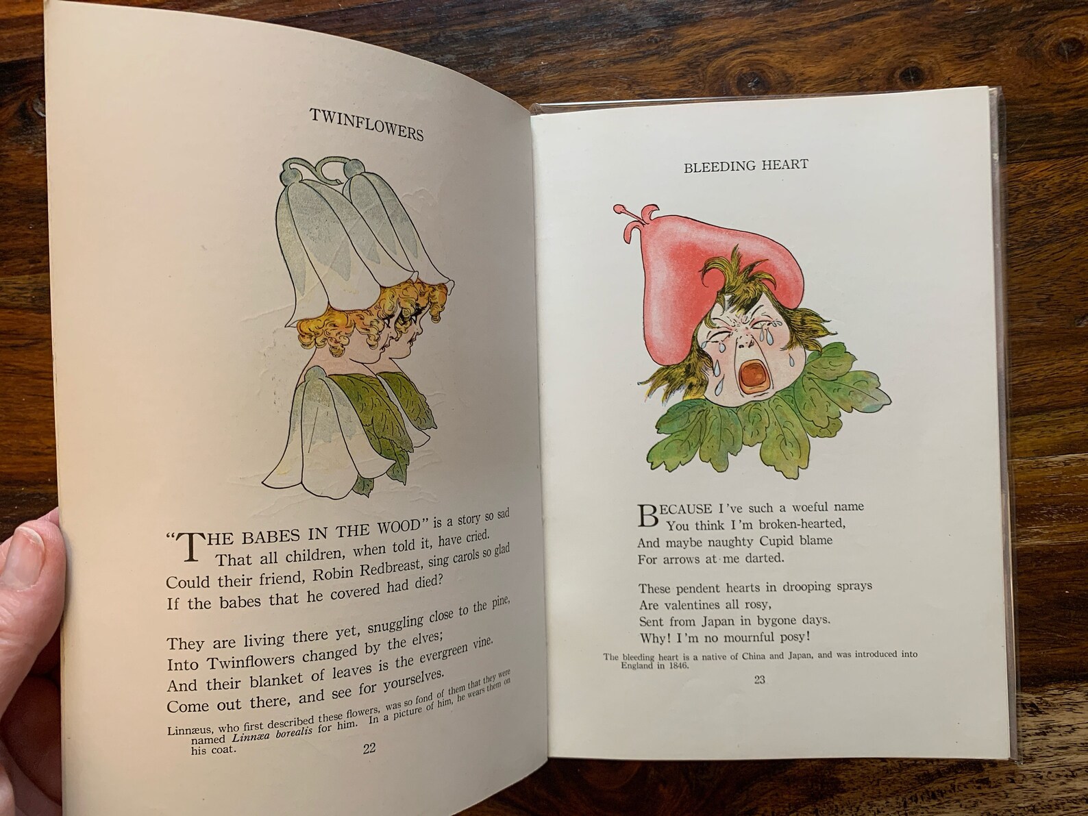 Flower Babies Book Children Poetry Gardening Nursery | Etsy
