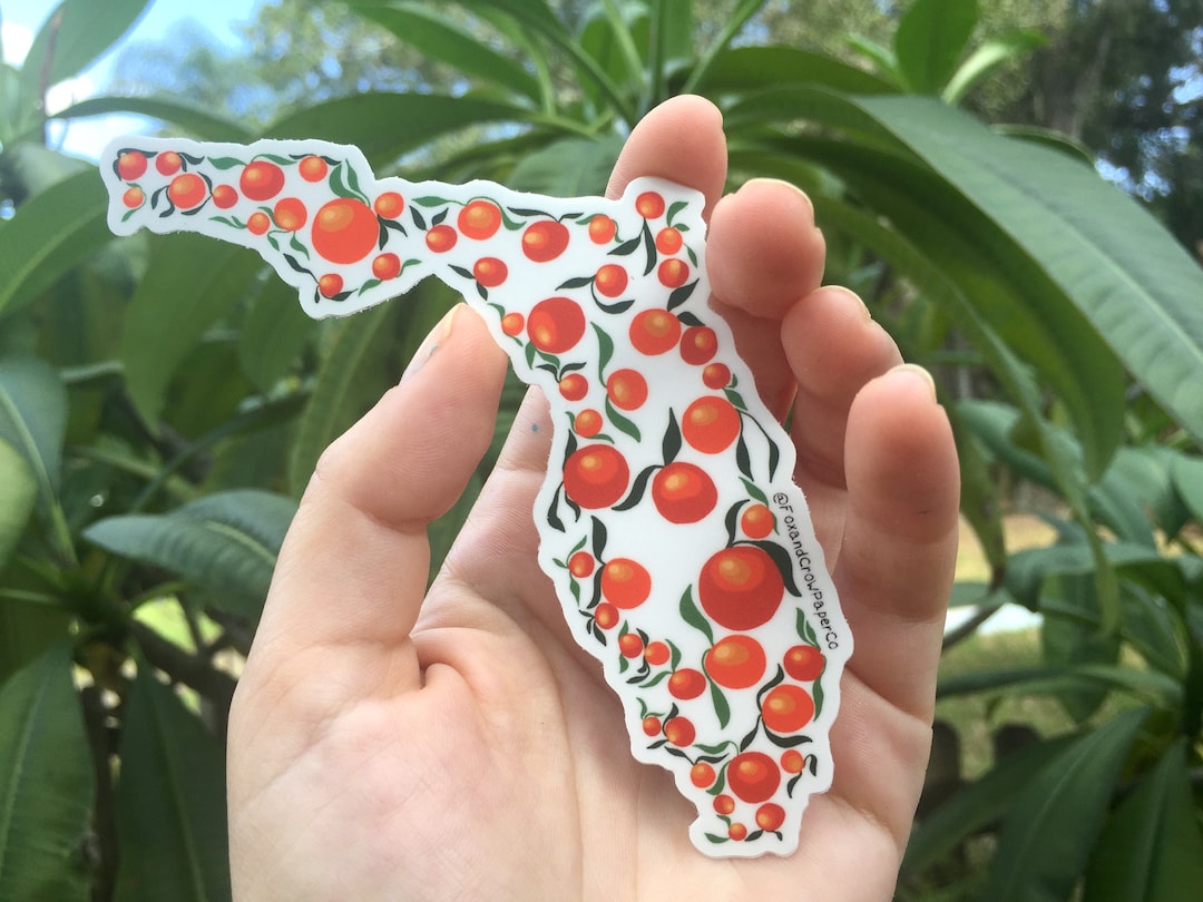 Florida Sticker / Florida Bumper Sticker / Florida Gift / Florida ...