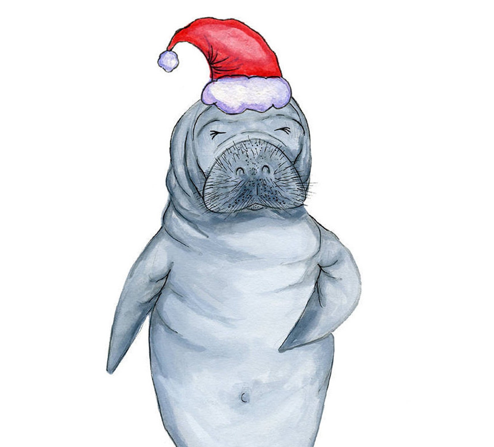 Manatee in Santa Hat Christmas Card / Christmas Cards / Tropical ...