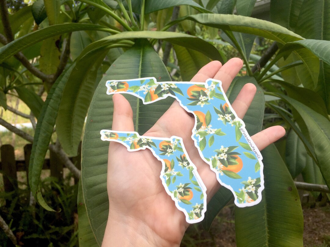 Florida Sticker / Florida Bumper Sticker / Water Bottle Sticker / State ...