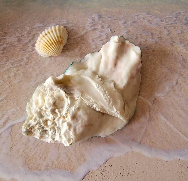 Godzilla Vintage Decoupaged Seashell Trinket, Jewelry, Soap, Paperclips ...