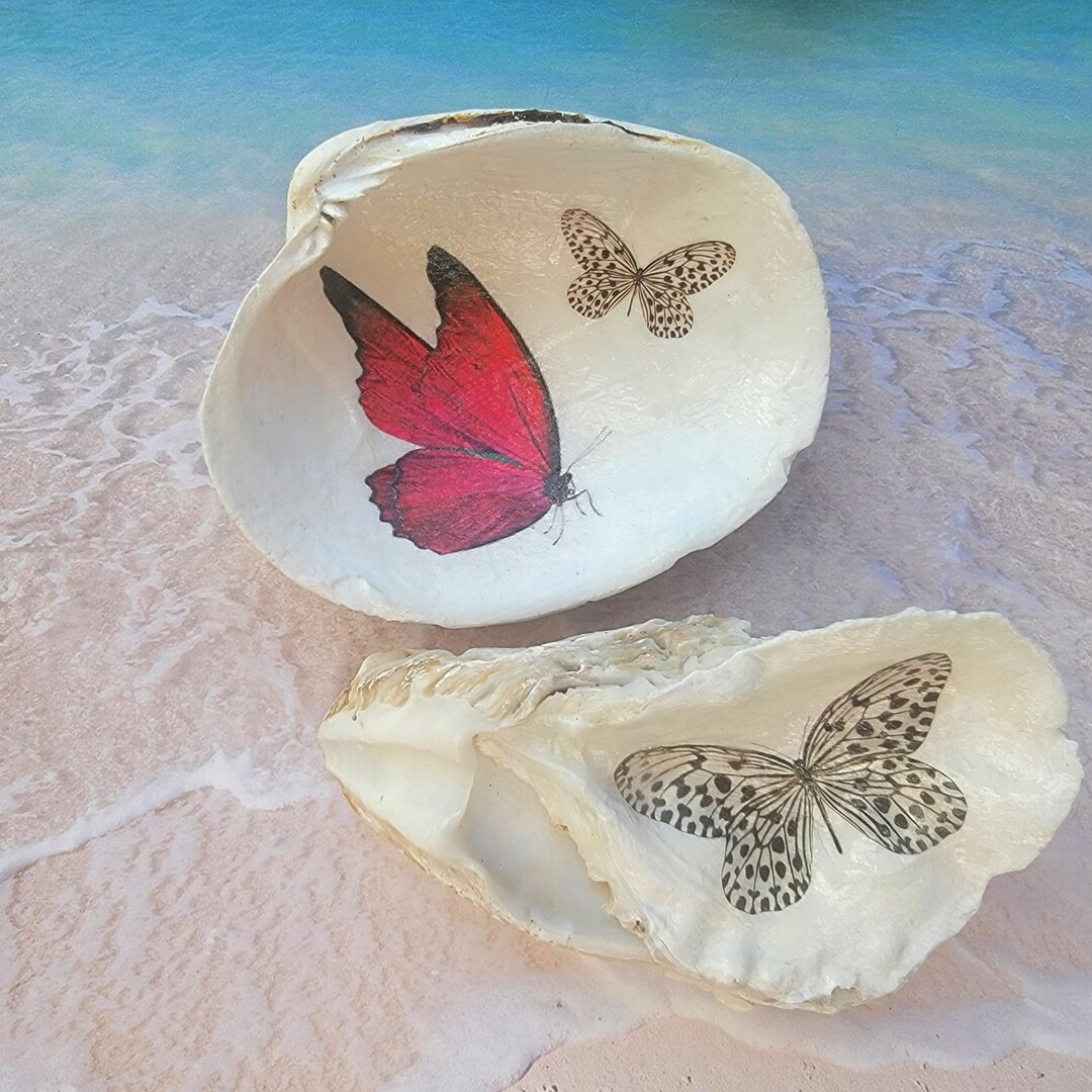Set of 2 Decoupaged Seashells of Butterflies - Etsy