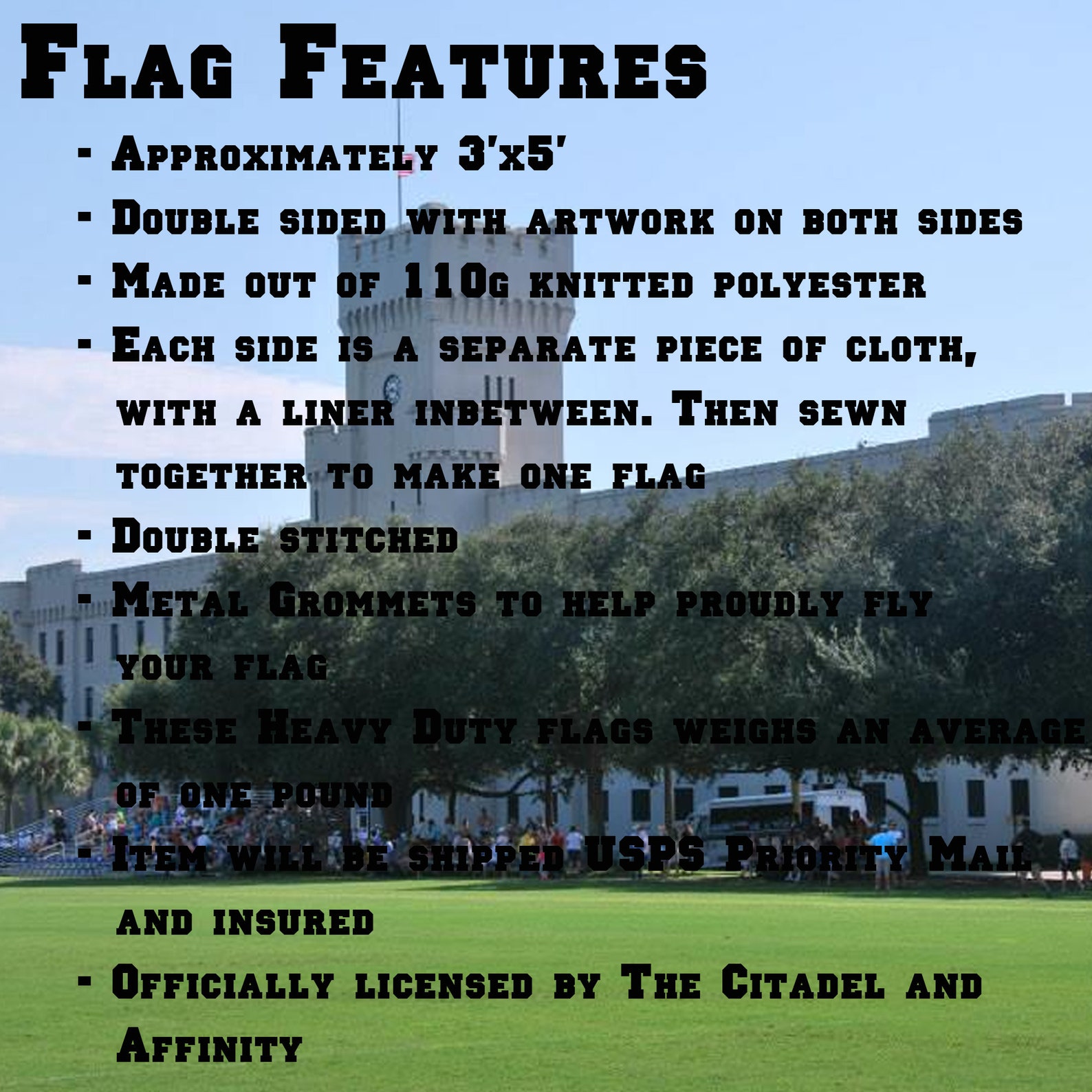 The Citadel PT Barracks Logo Flag - Etsy