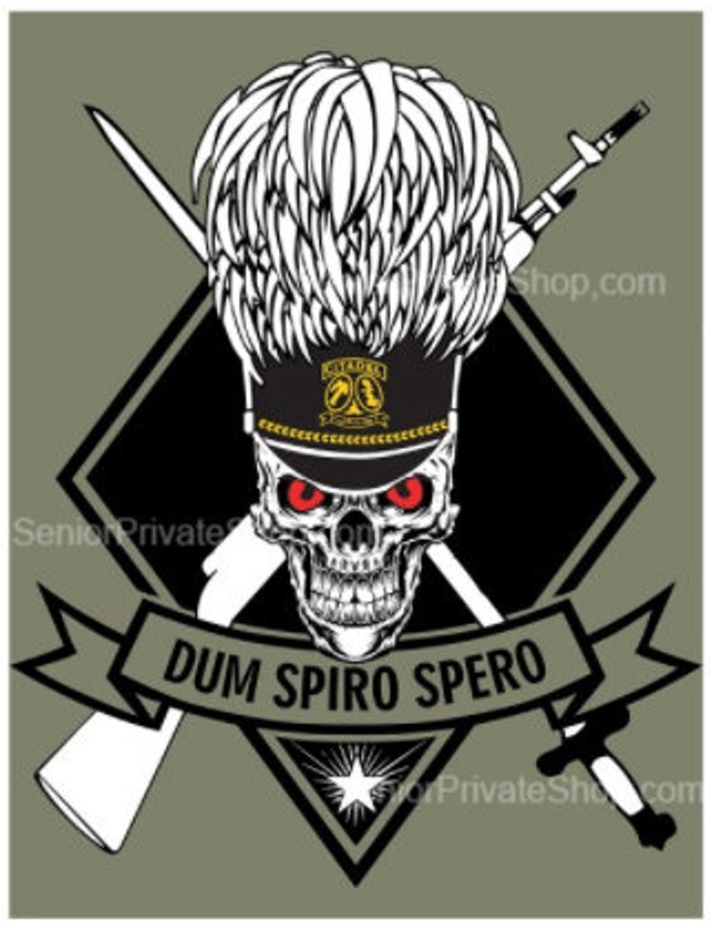 Dum Spiro Spero - Citadel Shirt - Etsy