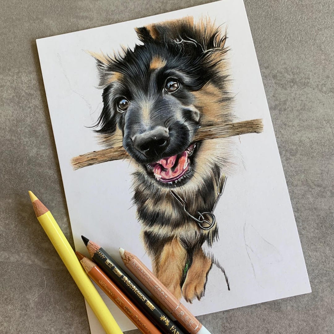 Custom Pet Portrait Drawing - Hand Drawn Colored Pencil Pet Portrait ...