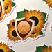 Paladin, Dungeons and Dragons Class Sticker Sunflowers, Shield, Golden ...