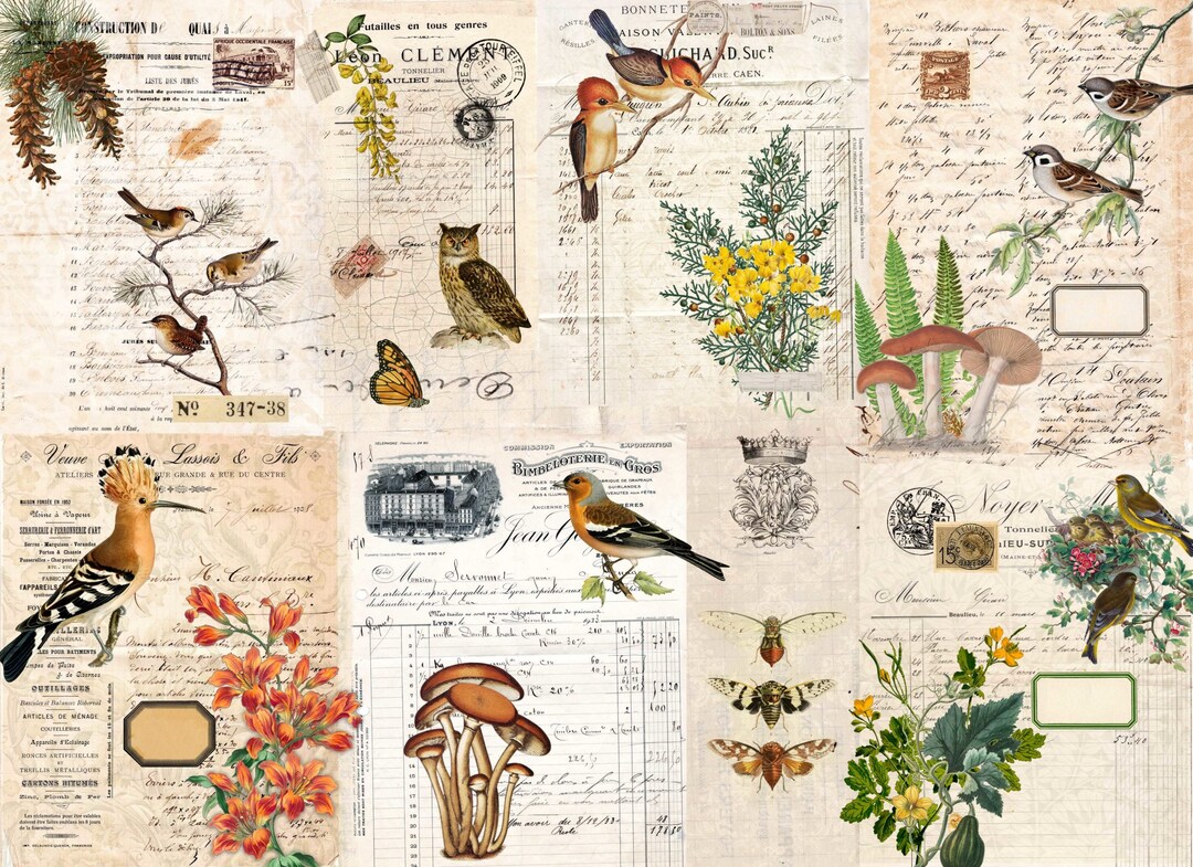 ROYCYCLED Decoupage Paper, Fall Botanical Blocks, 21" X 29" Decoupage ...