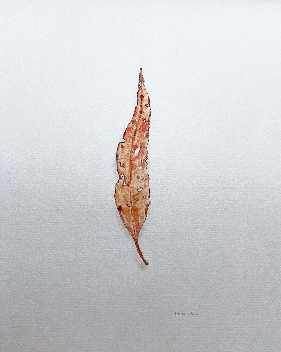 Original Leaf Watercolour Painting - Etsy