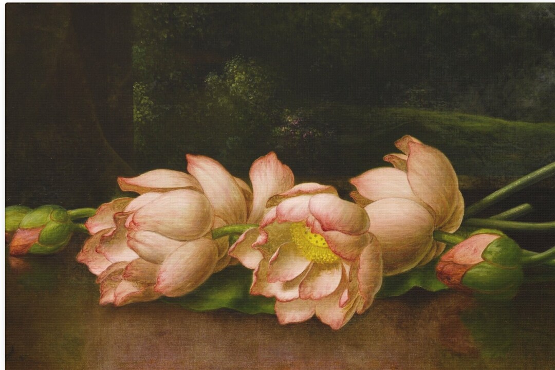 Lotus Flowers Vintage Painting Reproduction on Canvas Made With 100% ...