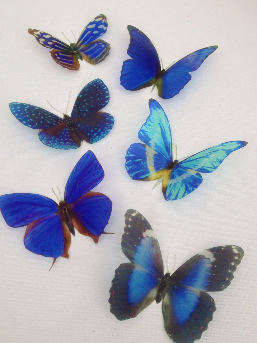 Blue 3D Butterflies Butterfly Home Decorbutterfly Weddings Buttefly ...