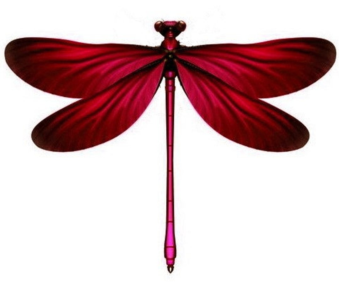 4 Deep Red 3D Removable Dragonflies Dragonfly Wedding Decorations ...