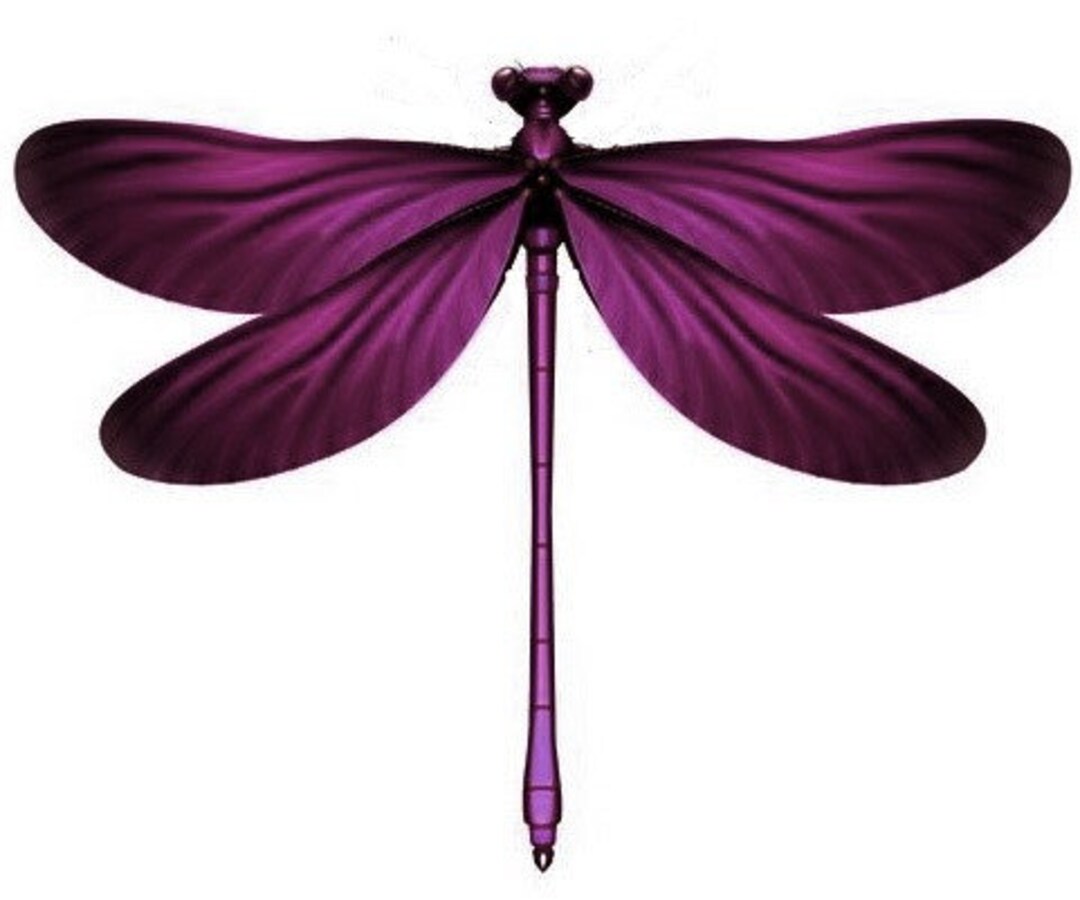 4 Deep Damson 3D Removable Dragonflies Dragonfly Wedding Decorations ...