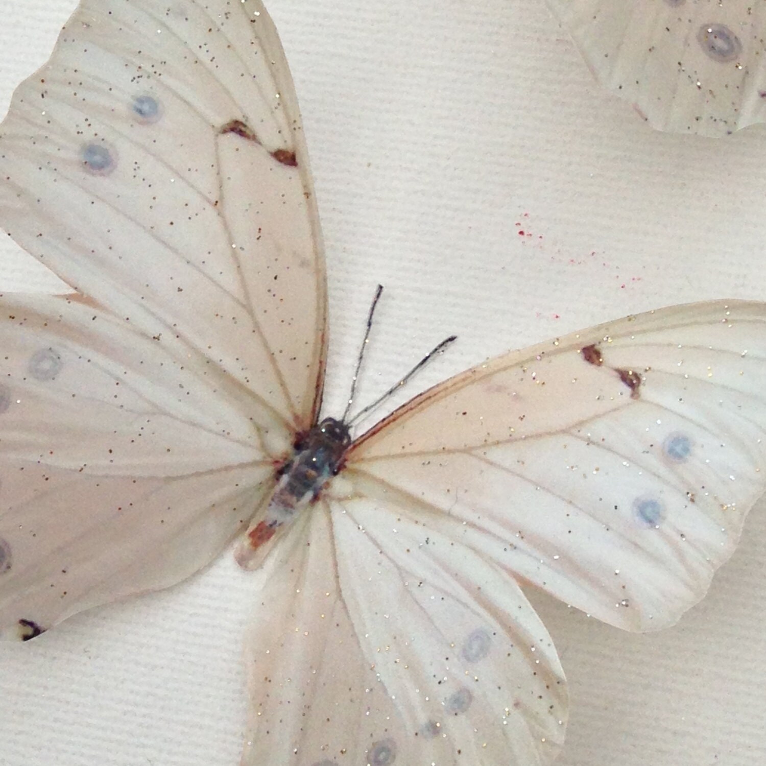 6 Luxury Ivory Cream Flying 3D Butterflies Bedroom Butterfly - Etsy UK
