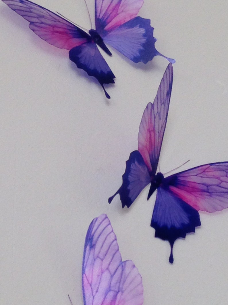 4 Luxury Amazing in Flight Pink & Purple Butterflies 3D | Etsy
