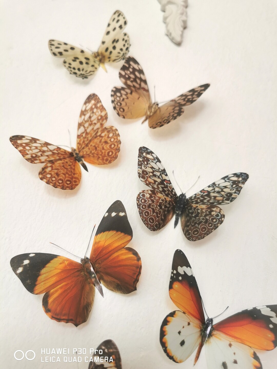 10 Natural 3D Butterflies Butterfly Picture Frame Home Wall Wedding ...