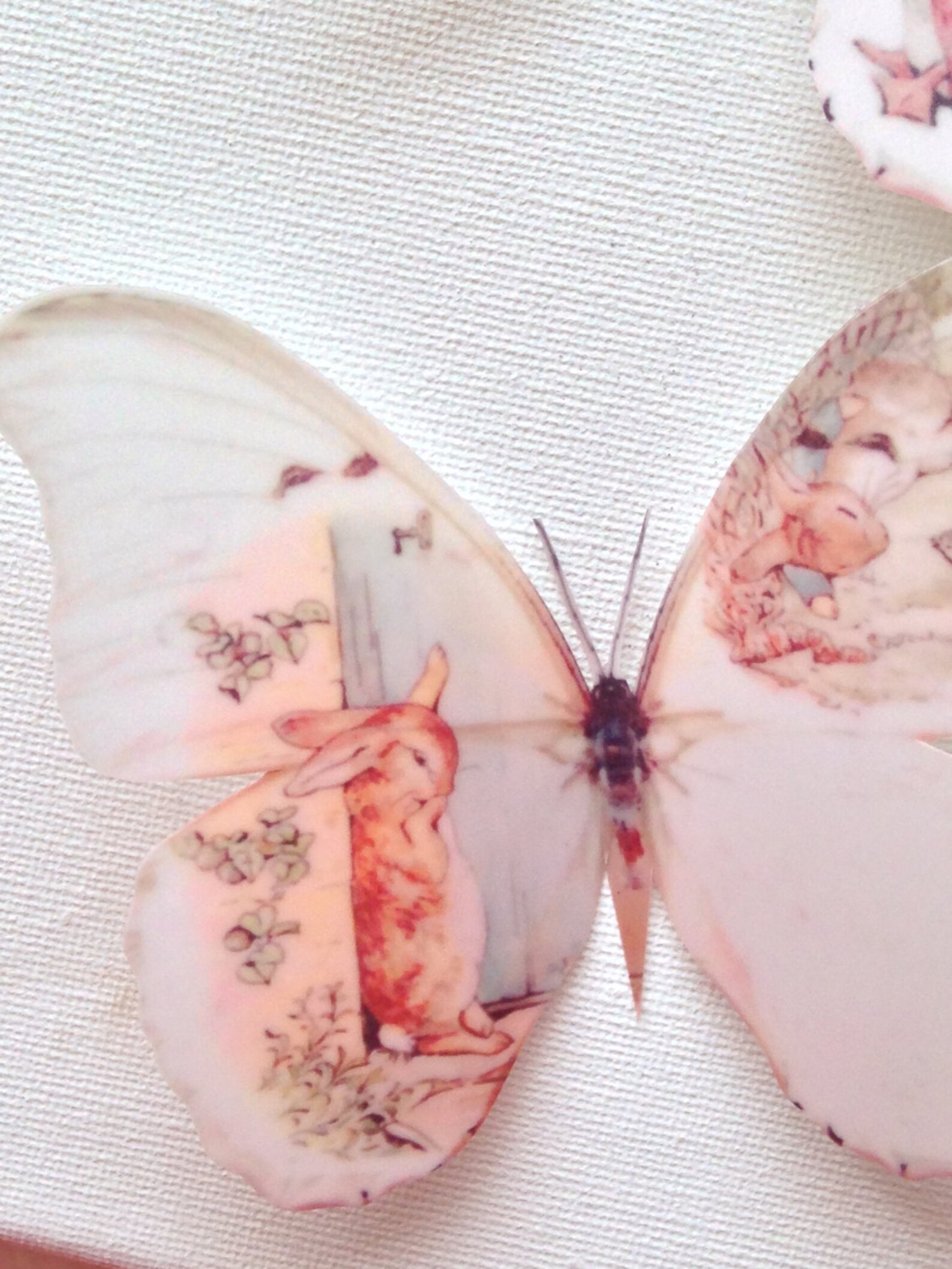 4 Beatrix Potter Peter Rabbit 3D Wall Sticker Butterflies - Etsy
