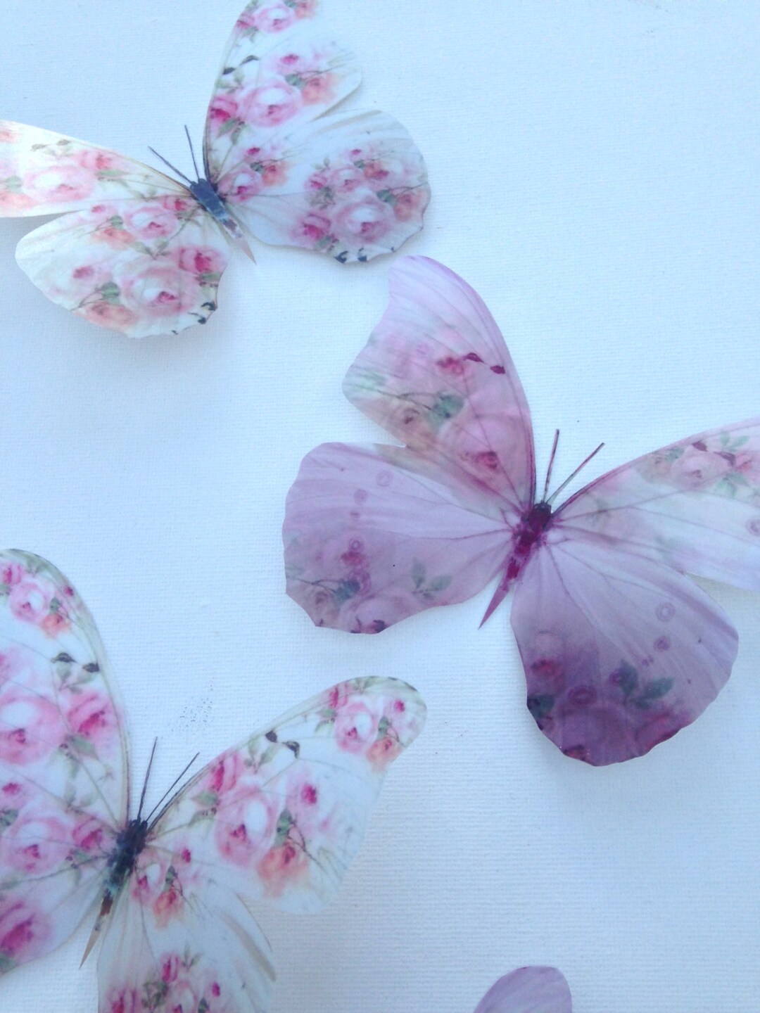 4 White Pink Shabby Chic Butterflies Rose Buds 3D Wedding Butterflies ...