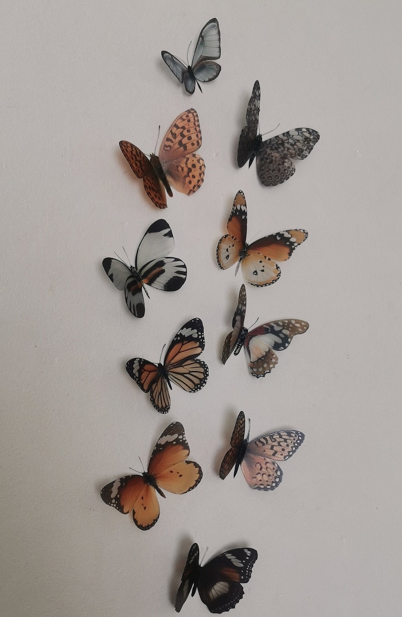10 Natural 3D Butterflies Butterfly Picture Frame Home Wall - Etsy