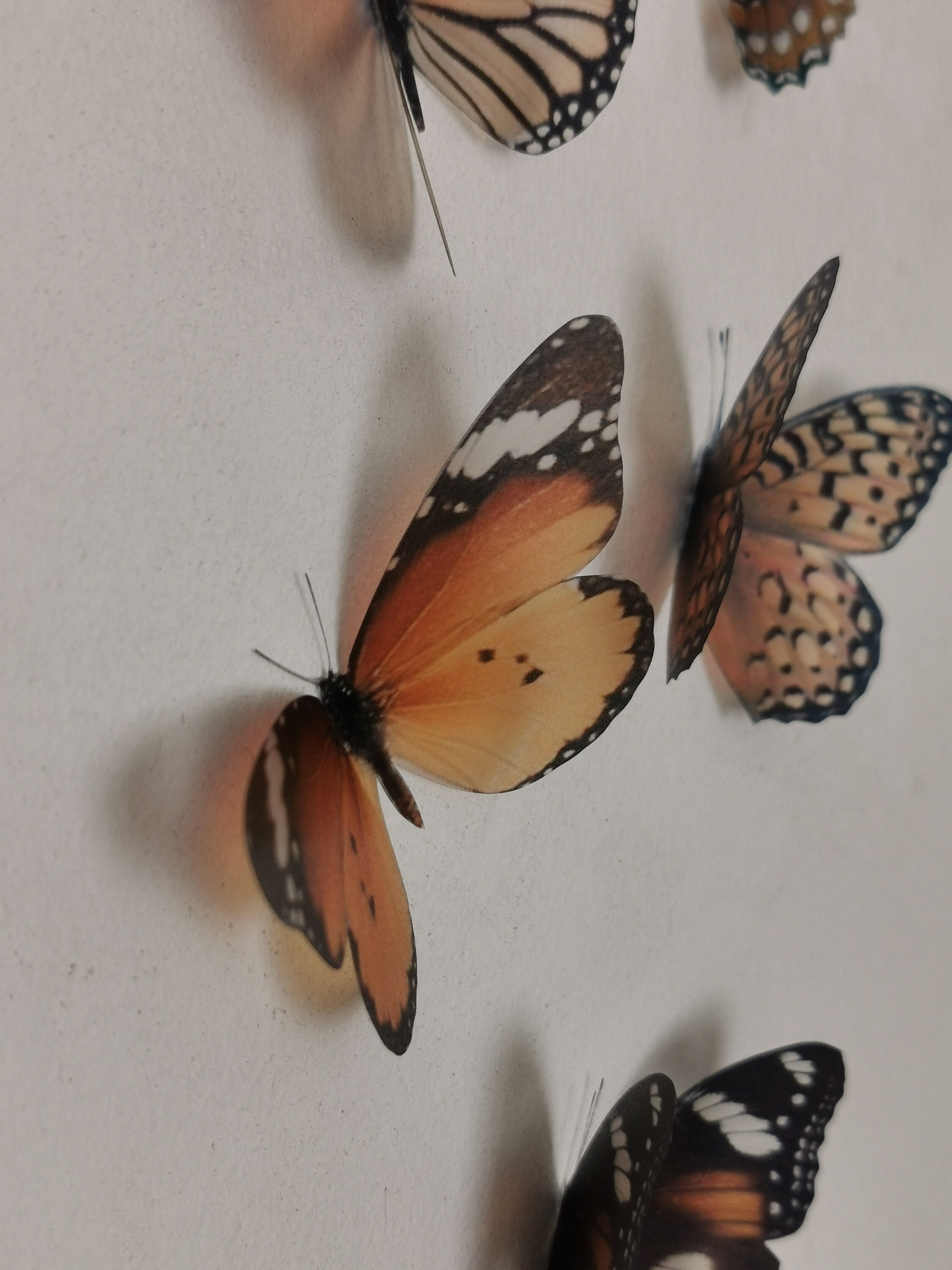 10 Natural 3D Butterflies Butterfly Picture Frame Home Wall | Etsy