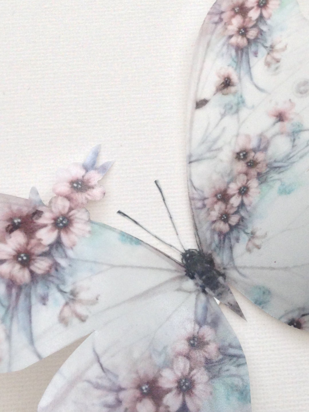Shabby Chic Butterfly Decals: 3D Floral Home Decor, 5" Removable Art ...