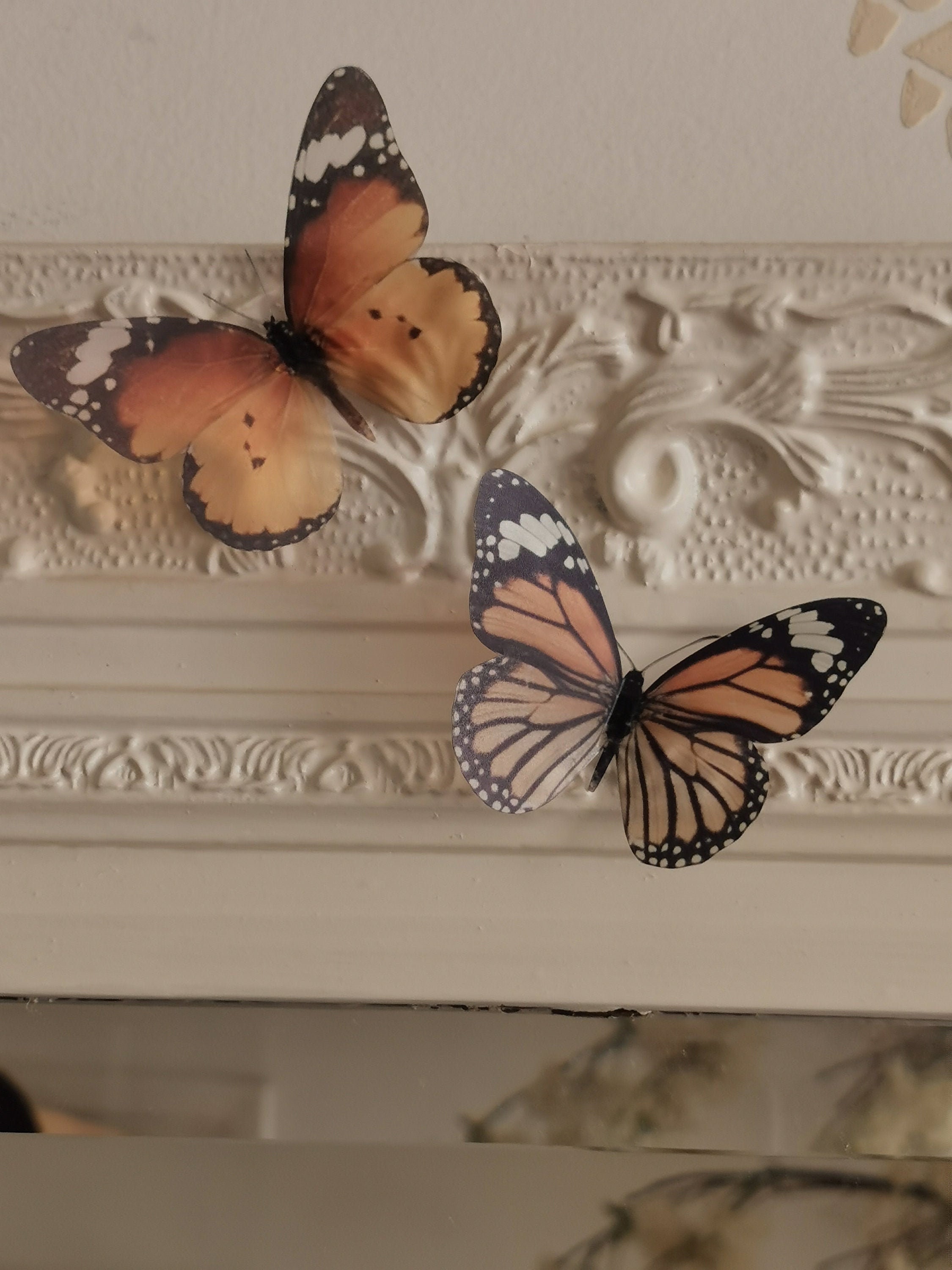 10 Natural 3D Butterflies Butterfly Picture Frame Home Wall | Etsy