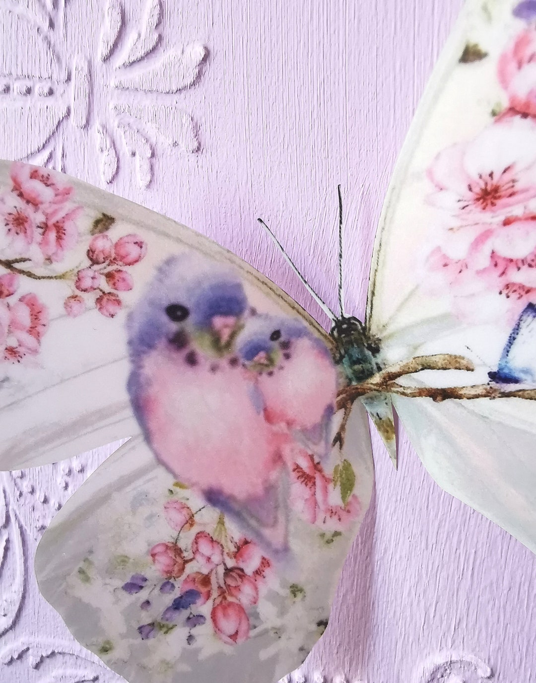 Shabby Chic Budgie Butterfly Wall Art: Pink Cherry Blossom Decor - Etsy