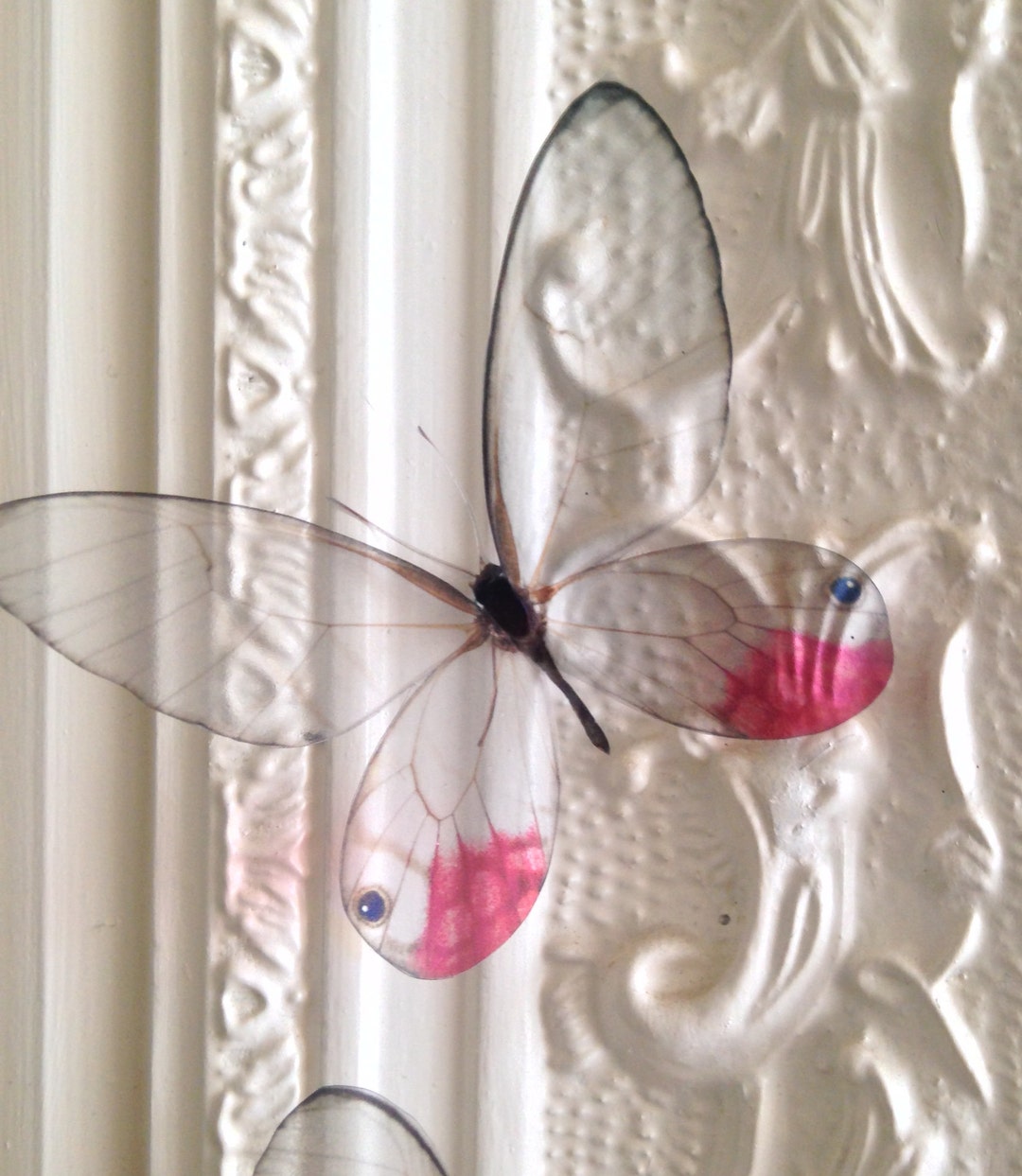 4 Natural 3D Glasswing Butterflies Transparent Replicas Home Wall ...