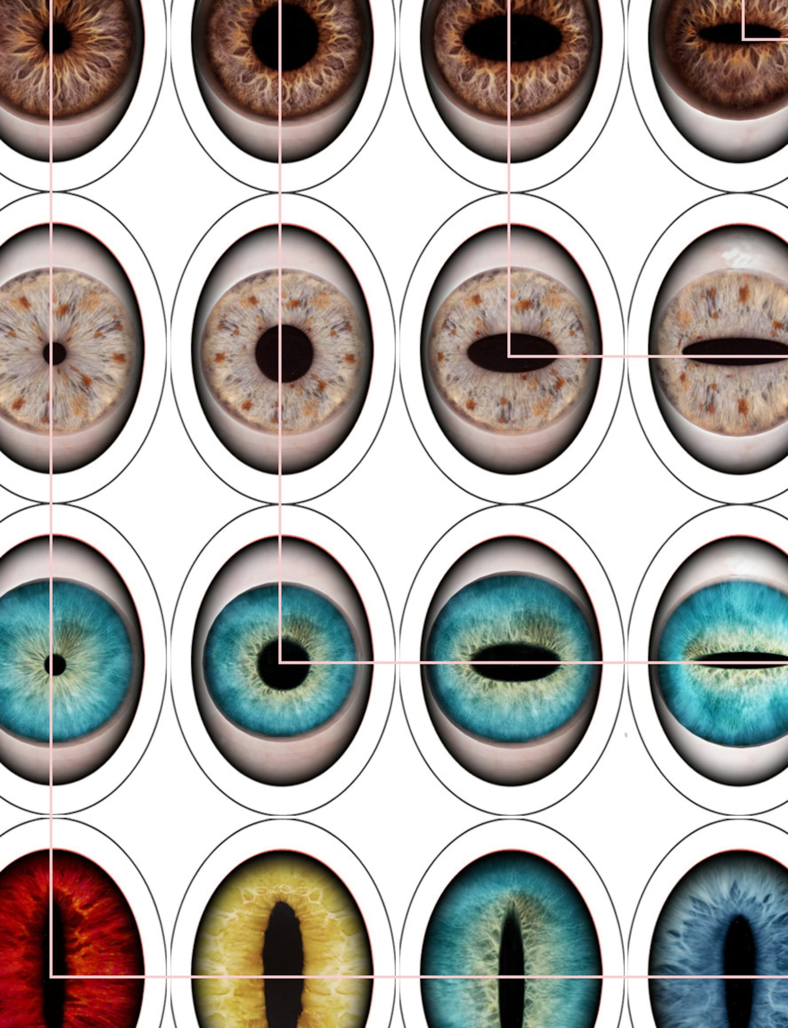 Oval Eyes, Digital Collage Sheet, 56 Plus 8 Bonus Eyes! 18mm X 25mm ...