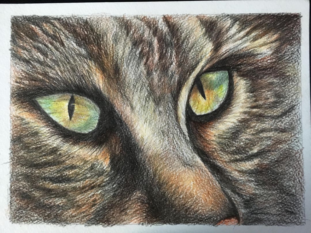 Wild Cat Pencil Drawing ( Framed) Original Art - Etsy
