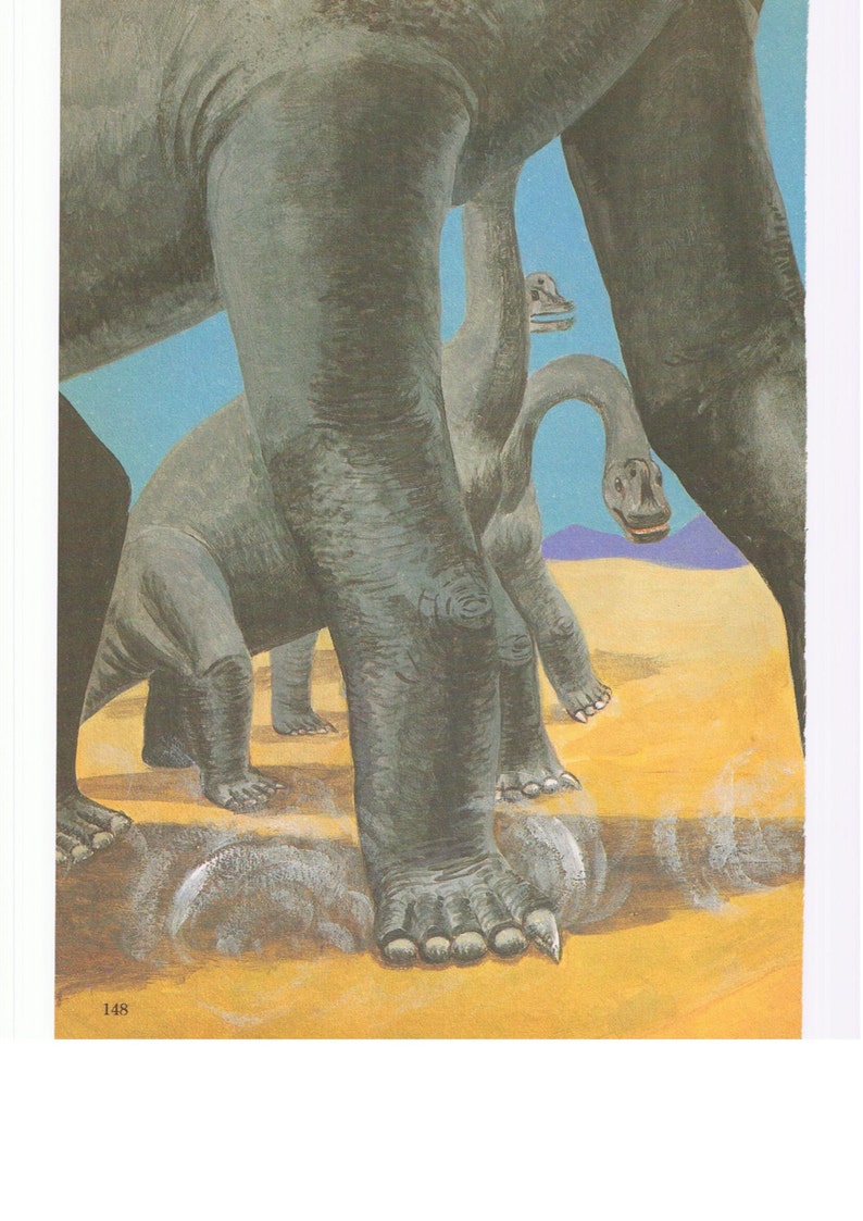 5x DINOSAURS 1980s Childrens Book Illustrations | Etsy