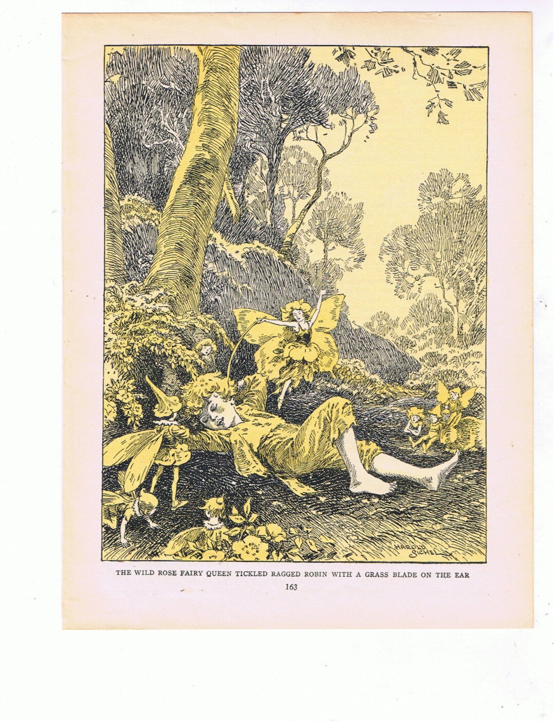 1938 RAGGED ROBIN Folklore, Fables, Fairy Tales Print - Etsy