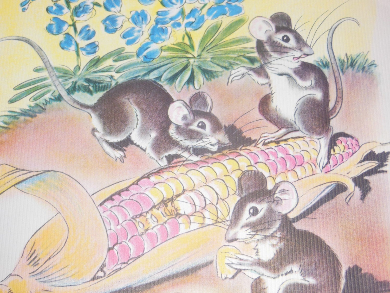 1936 Field Mice Barnyard Babies Book Print Antique Full Page | Etsy