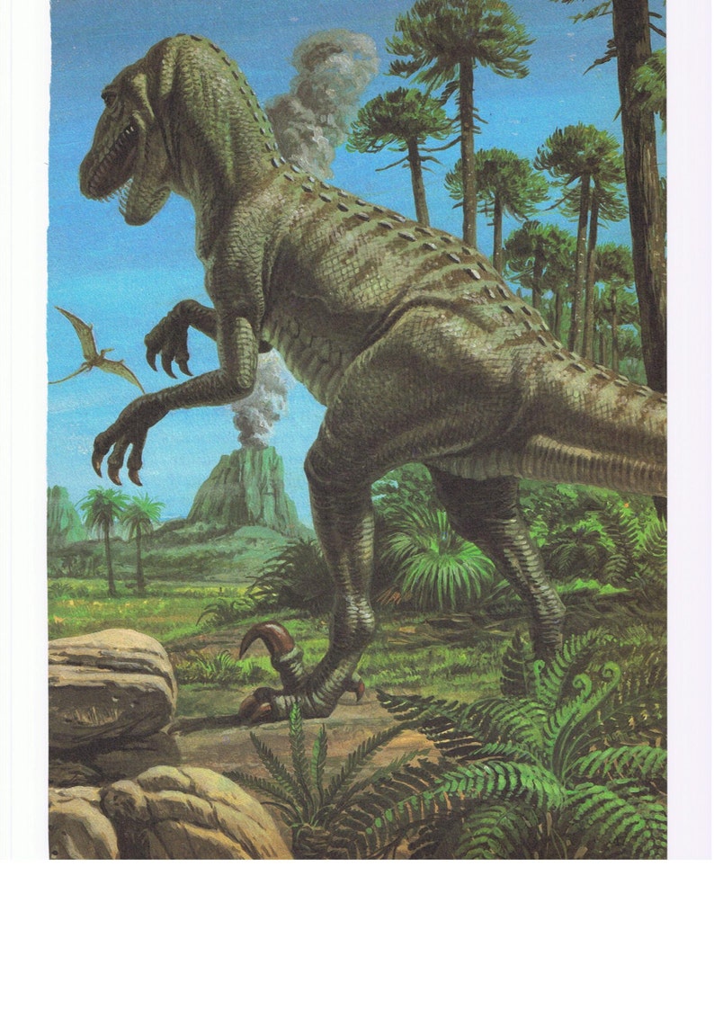 5x DINOSAURS 1980s Childrens Book Illustrations - Etsy