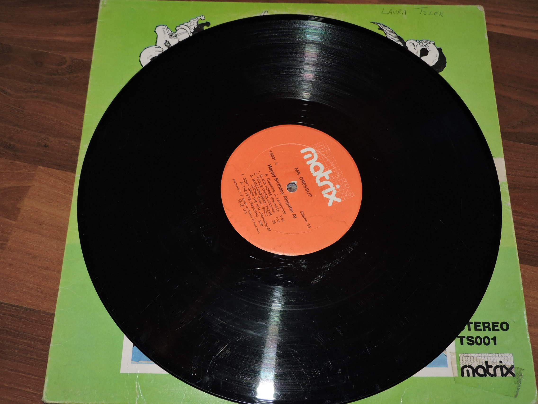 12" Mr. Dressup Happy Birthday Alligator Al Vintage Music LP Children ...