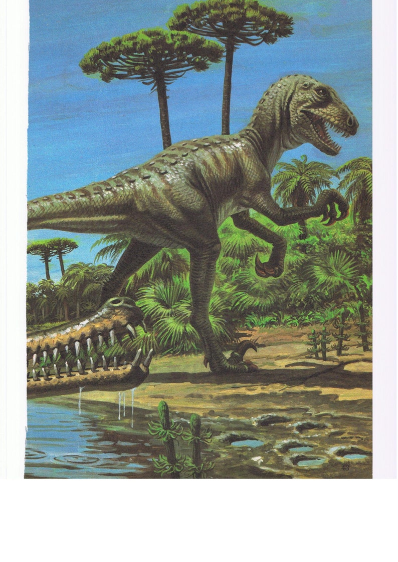 5x DINOSAURS 1980s Childrens Book Illustrations | Etsy