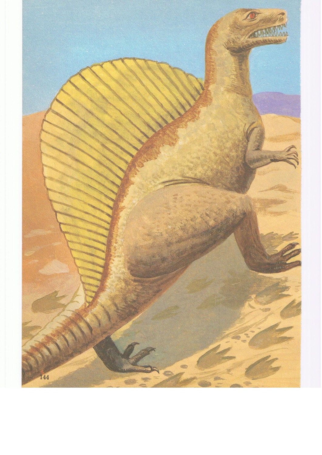 5x DINOSAURS 1980s Childrens Book Illustrations | Etsy