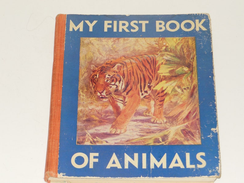 My First Book Of Animals Vintage Hardcover Book | Etsy
