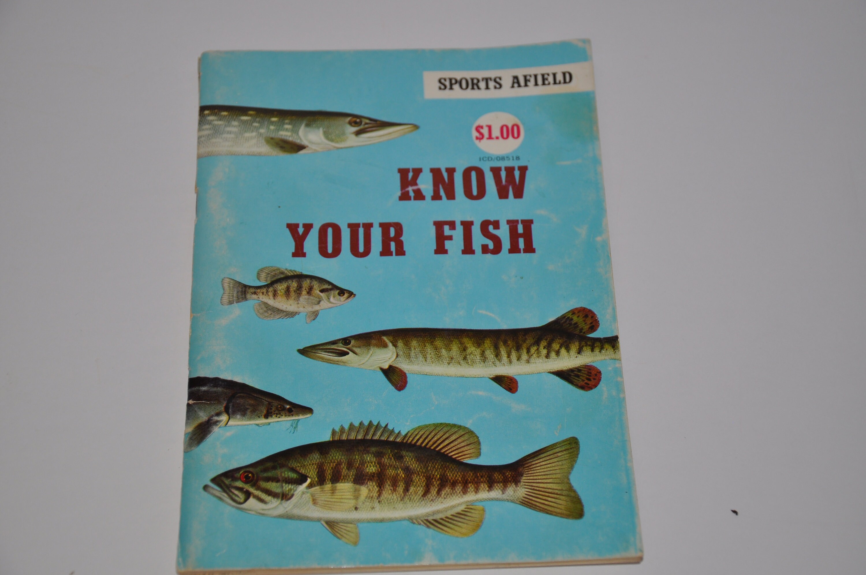 Know Your Fish Sports Afield 1960 Paperback Book | Etsy