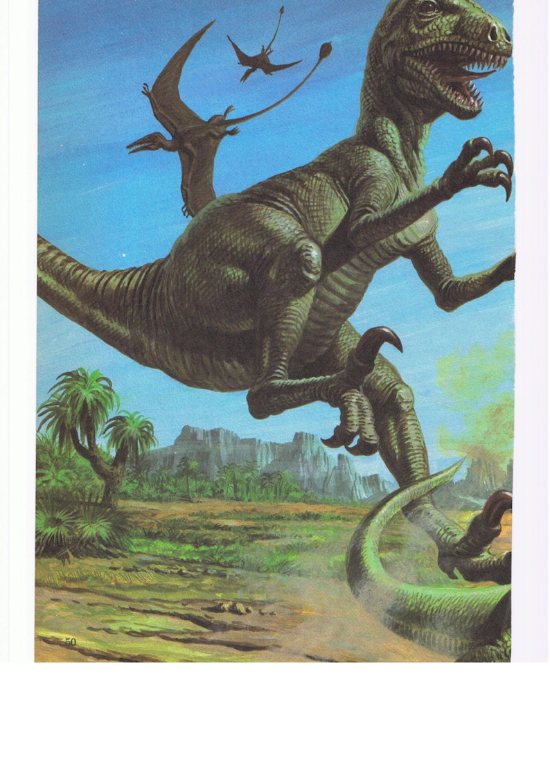 5x DINOSAURS 1980s Childrens Book Illustrations | Etsy