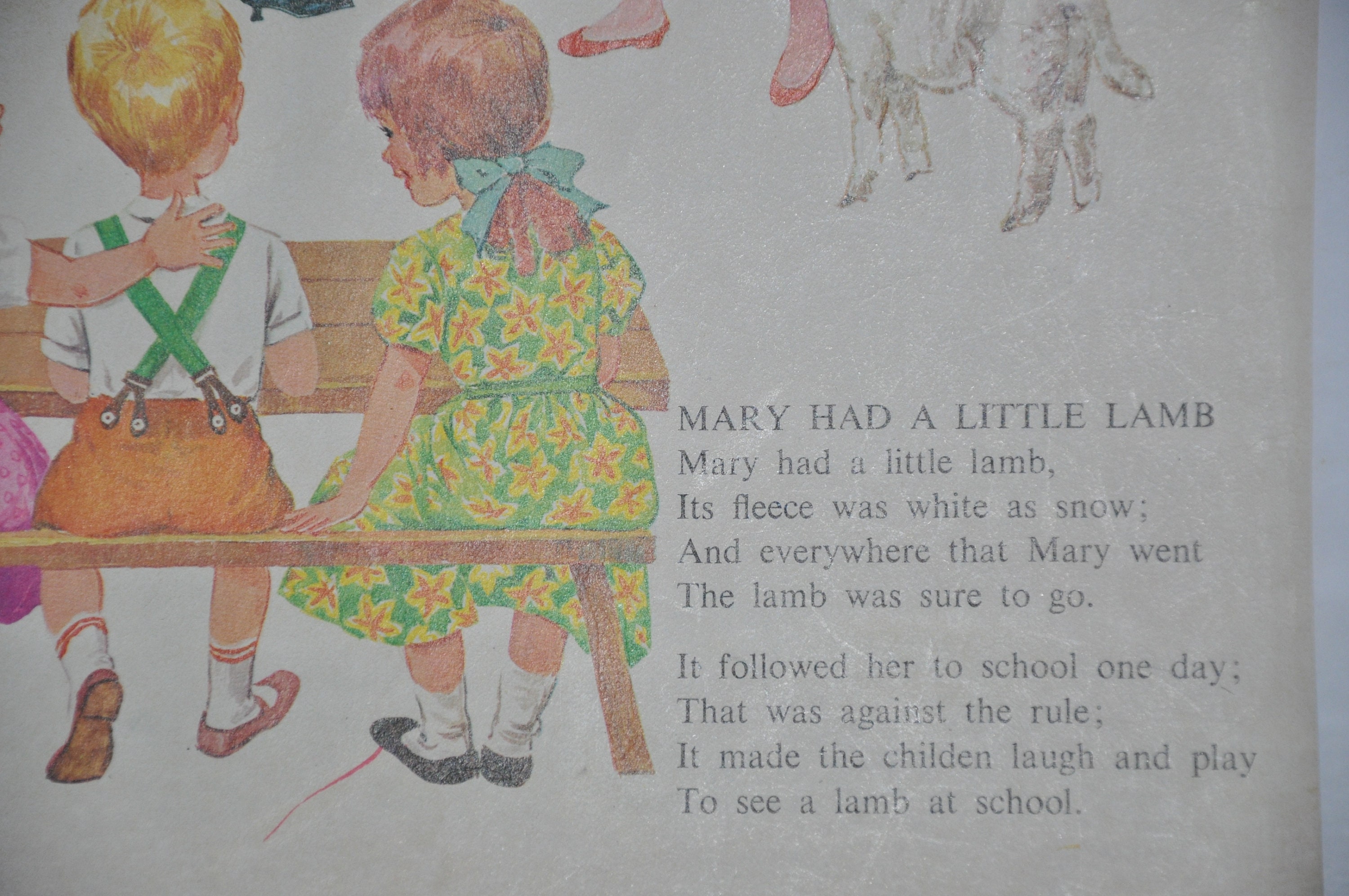 Mary Aveva Un Piccolo Agnello Da Colorare