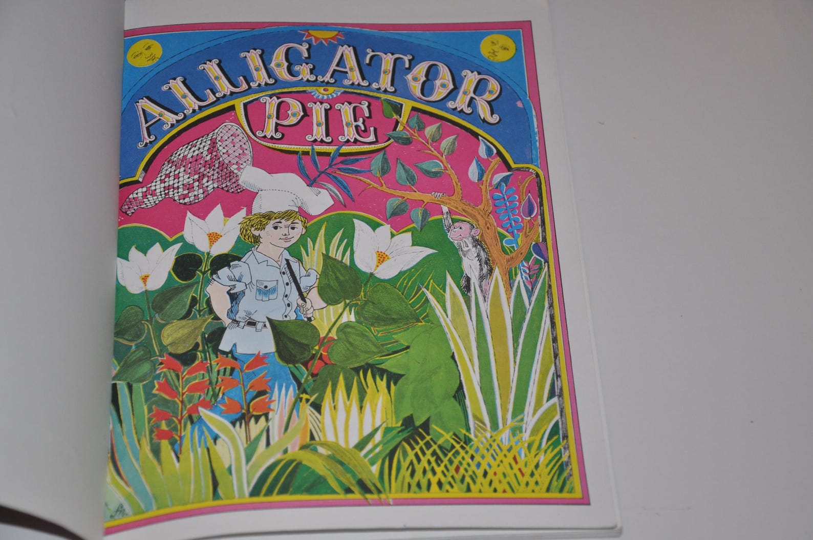 Alligator Pie Vintage Softcover Children's Poetry Book - Etsy