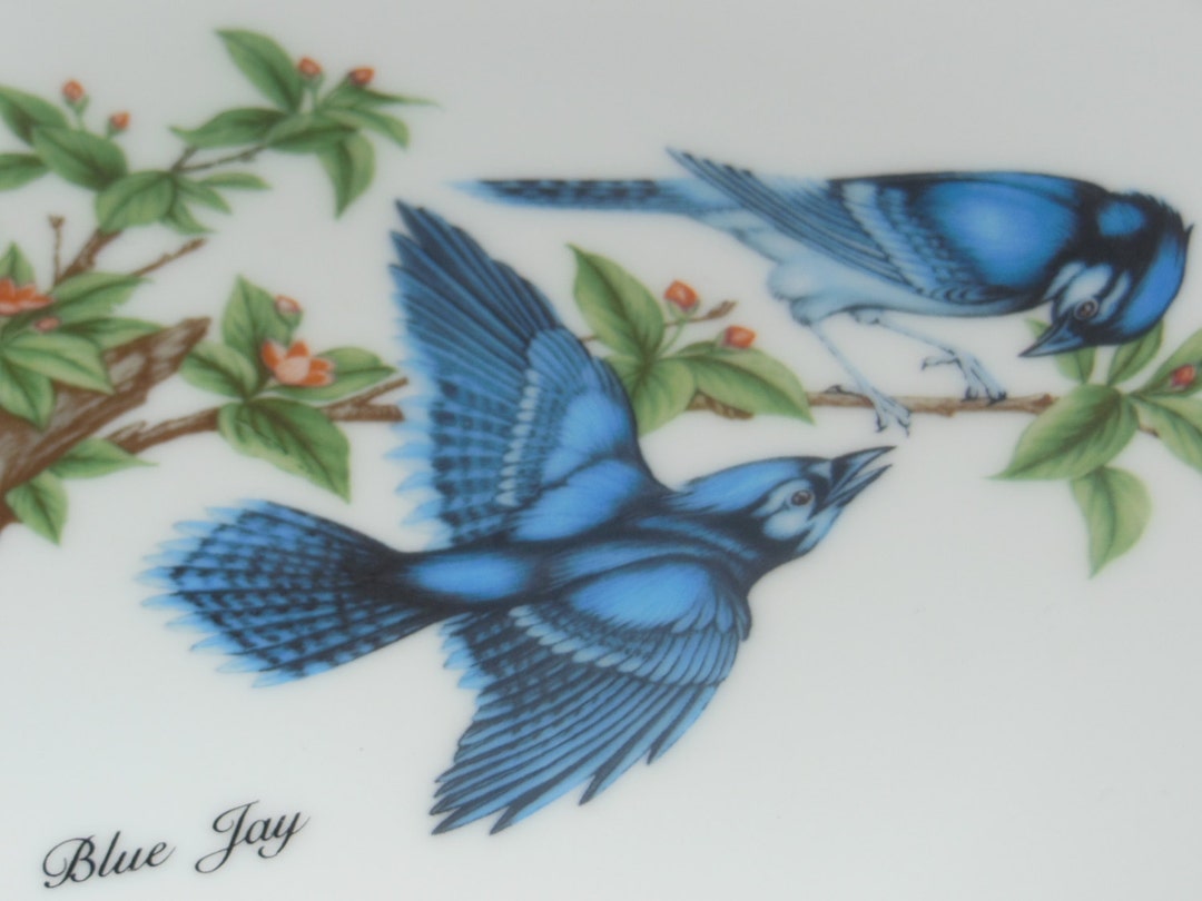 Jay Audubon azul porcelana 1986 Vintage plato plato - Etsy España