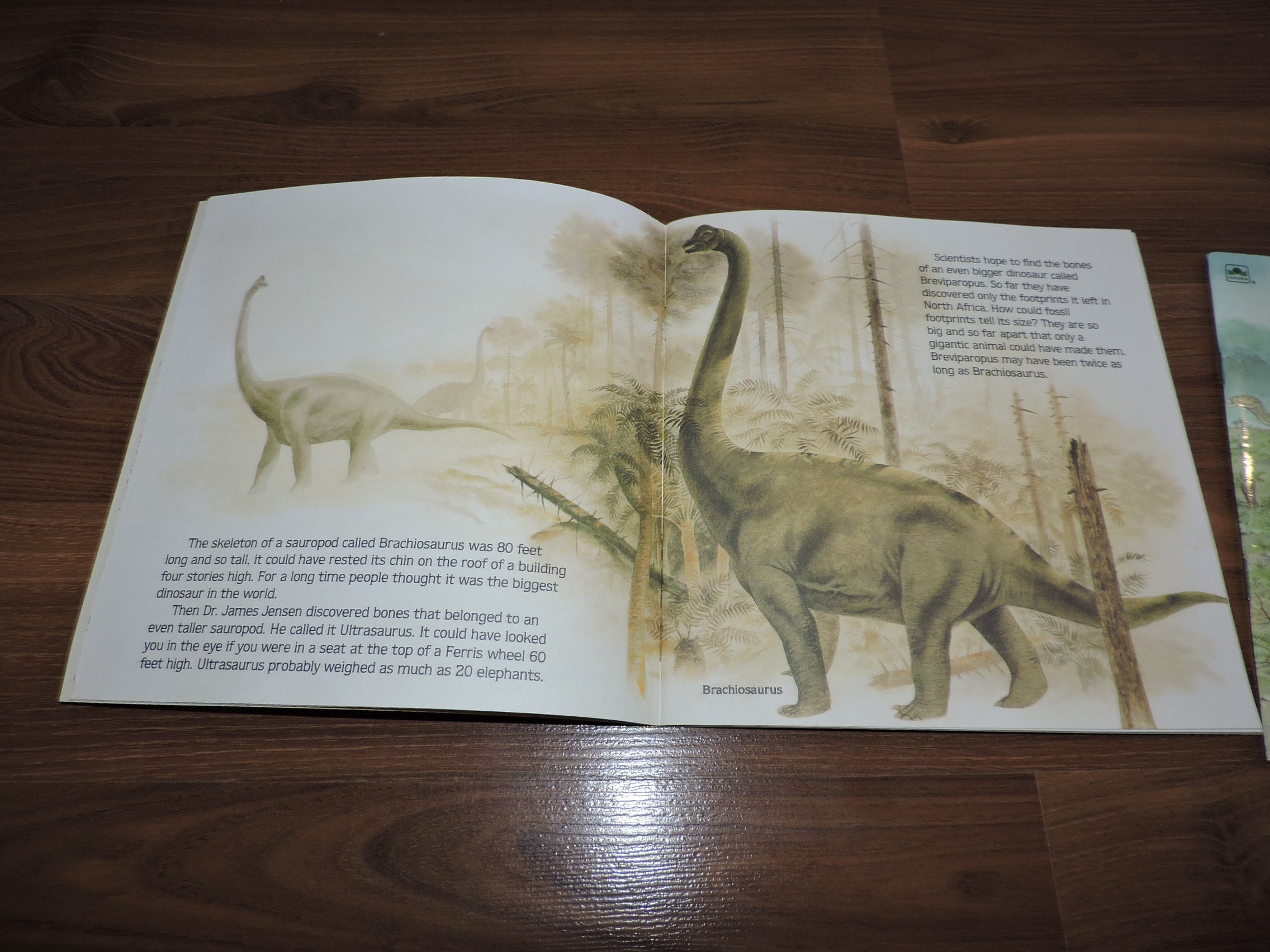 Breviparopus Dinosaur